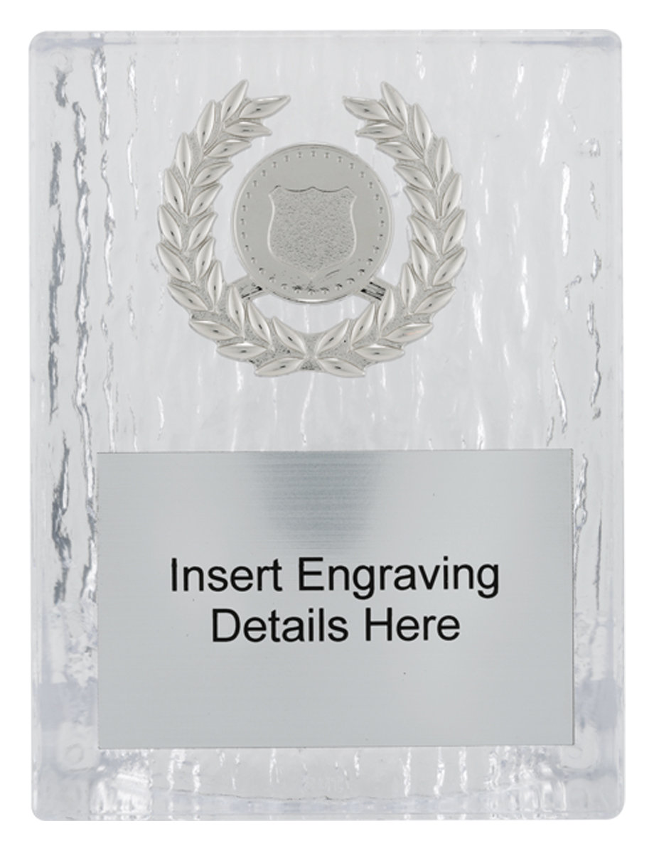 Budget Plaque – Express Trophies